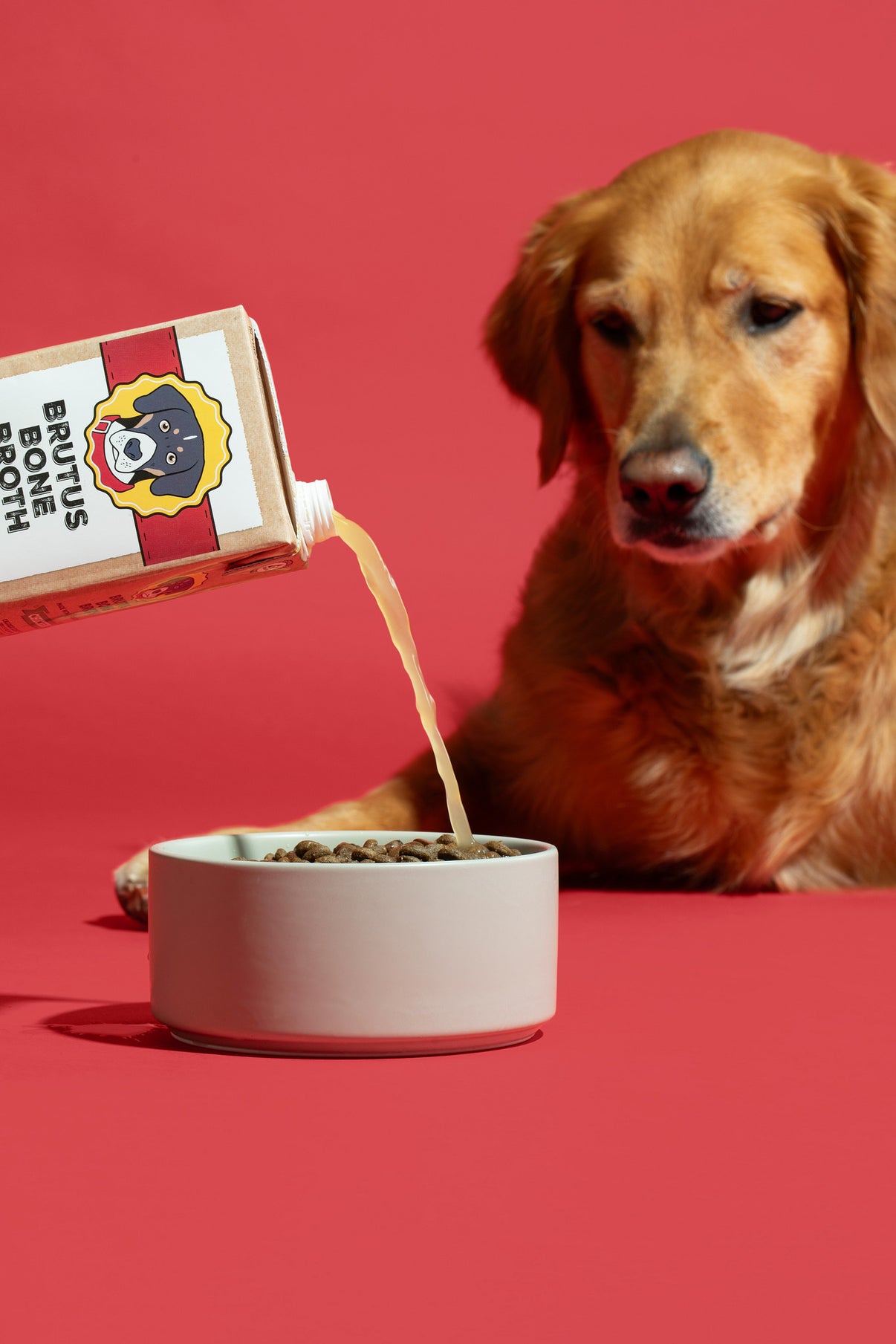 Brutus Bone Broth for Dogs – Chicken | Dog Food Topper & Gravy – Brutus ...