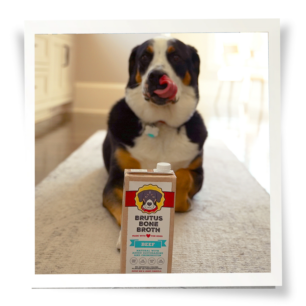 BONE BROTH – BrutusBroth.com